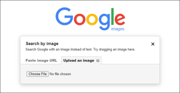 Discover everything about Google Reverse Image Search | Infidigit