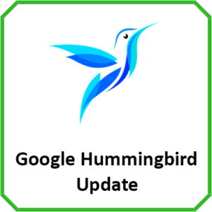 Google Hummingbird - How Hummingbird Update Works & Impacts Search