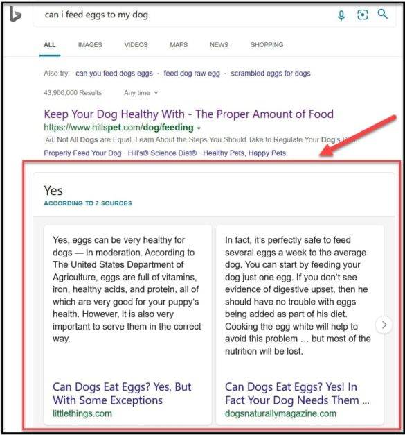 Bing can now answer queries with a simple 'Yes' or 'No.'