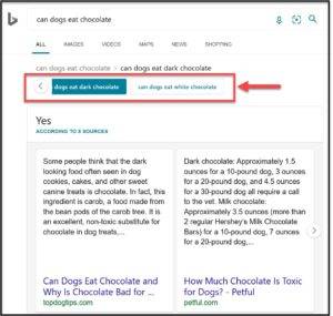 Bing can now answer queries with a simple 'Yes' or 'No.'