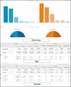 A Complete Guide to Google Analytics Audience Report