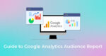A Complete Guide to Google Analytics Audience Report