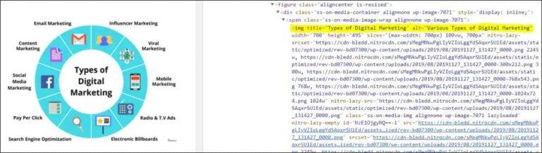 Alt Text For Images - How to Write a Good Alt Text Explained
